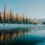 Rocky Mountains Peyto Lake and Banff Day Trip - Authentic Perspectives from Reviews