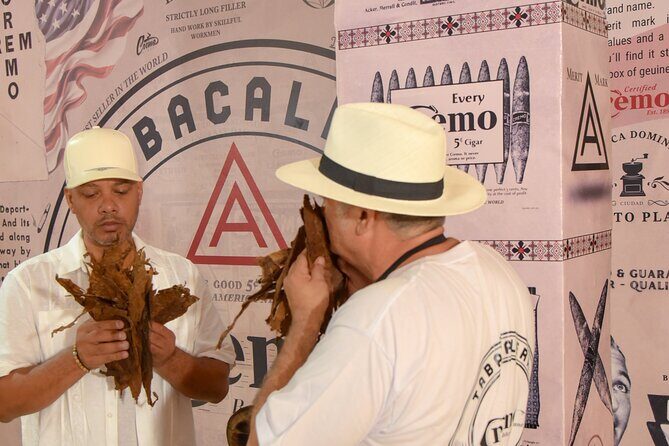 Roll your Own Cigar in Puerto Plata - The Factory Setting and Its Significance