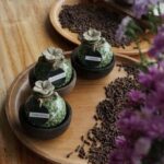 Romantic Ritual Massage - An In-Depth Look at the Romantic Ritual Massage