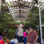 Roots of Baja Magical Town Tour in Todos Santos - Final Thoughts