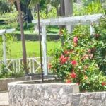 Rose Hall Great House and Craft Market Tour - The Itinerary: What to Expect