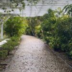 Rose Hall Great House and Montego Bay Tour - The Sum Up