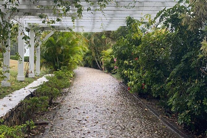 Rose Hall Great House and Montego Bay Tour - The Sum Up