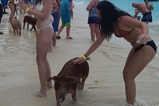 Rose Island 3 Island Luxury Private Tour(8hrs) - Authentic Experiences and Customer Feedback