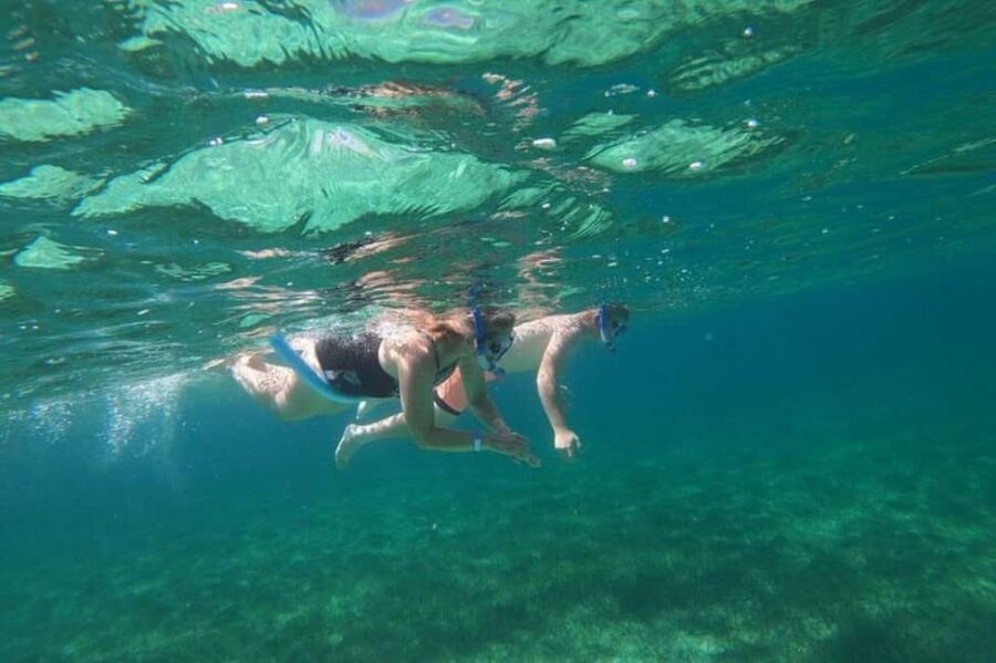 Rose Island Adventure: Turtle, Swim and Snorkel - Analysis of Value and Practical Details