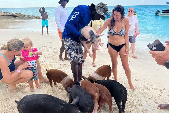 Rose Island Private Beach: Swimming with the Pigs - The Sum Up