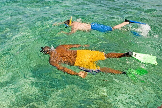Rose Island Swimming Pigs & Beach Snorkeling Experience Nassau - The Itinerary in Detail