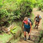 Roseau: Boiling Lake Challenge Hiking Tour with Local Guide - What the Reviews Say