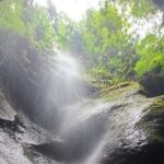 Roseau, Dominica: Rainforest Adventure sport,Waterfall swim - Authentic Experiences and Authenticity