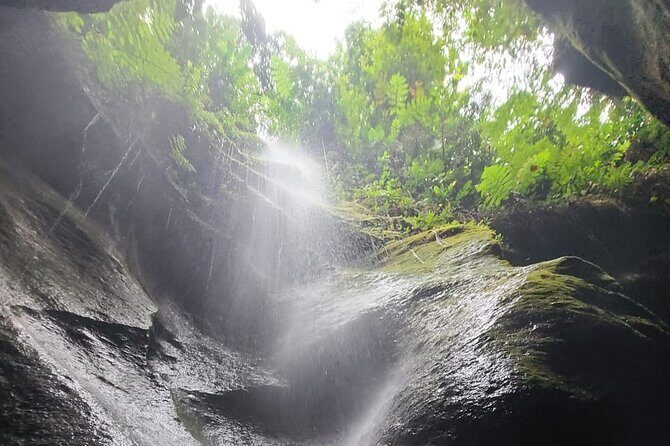 Roseau, Dominica: Rainforest Adventure sport,Waterfall swim - Authentic Experiences and Authenticity