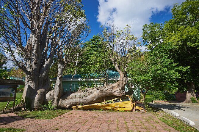 Roseau Dominica Safari Scenic: Rainforest, Falls & Karaoke - Analyzing the Value: Is It Worth It?