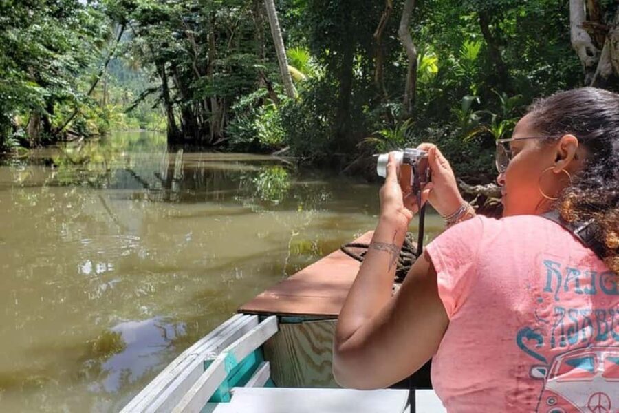 Roseau: Indian River and Fort Shirley Tour with Lunch - What Reviewers Say