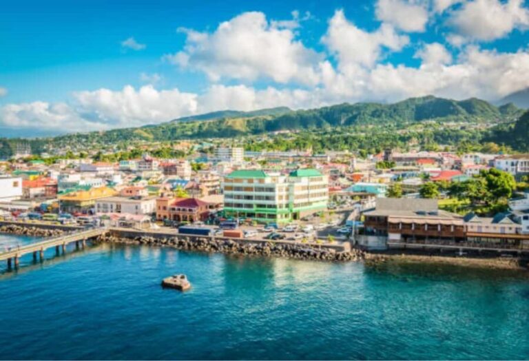 Roseau: Private Food Tasting Tour - Who Should Consider This Tour?