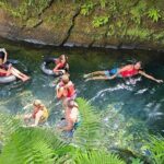 Roseau Valley to Champagne Beach Tour Experience - The Logistics and Experience Quality