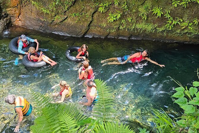 Roseau Valley to Champagne Beach Tour Experience - The Logistics and Experience Quality