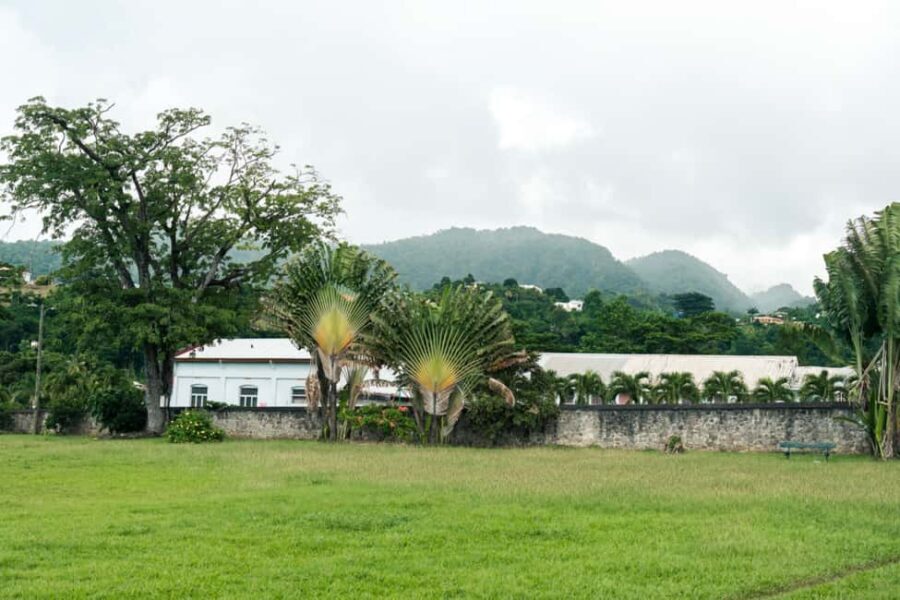 Roseaus Natural Beauty | Private Half-Day Tour - The Itinerary in Detail