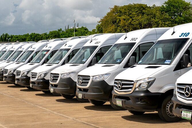 Round Trip bus and ferry ride from Cancun to Cozumel - What Travelers Are Saying