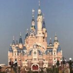 Round Trip Private Transfer City Center - Shanghai Disneyland - The Experience on the Road