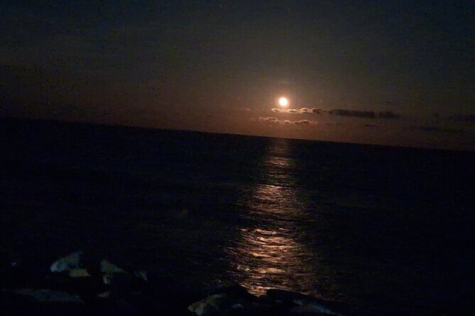 Round Trip Private Trip Los Cabos Airport to Cabo San Lucas - Who Will Benefit?