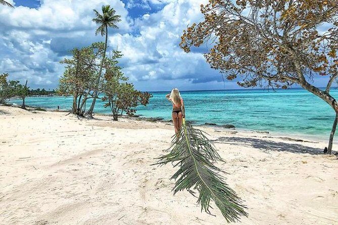 Round Trip Punta Cana Airport Shuttle - Detailed Breakdown of the Experience