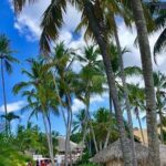 Round Trip Shuttle - Punta Cana Airport to La Romana Hotels 11-20 Passengers - Who Will Love This Service?