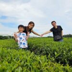 Round-trip transportation service to O`sulloc Tea Museum - The Cultural and Visual Appeal