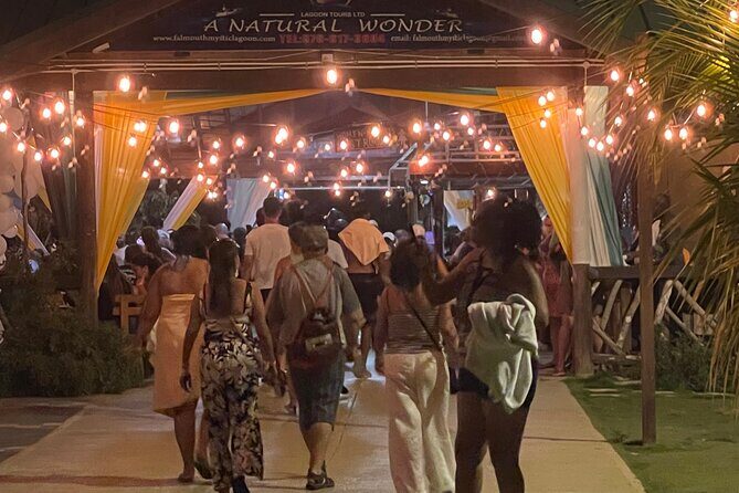 Royal Luminous Lagoon Tour - Practicalities and Tips