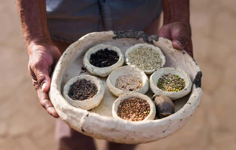 Royal Rajasthani Thali & Family Cooking Class in Udaipur - Practical Details and Worth