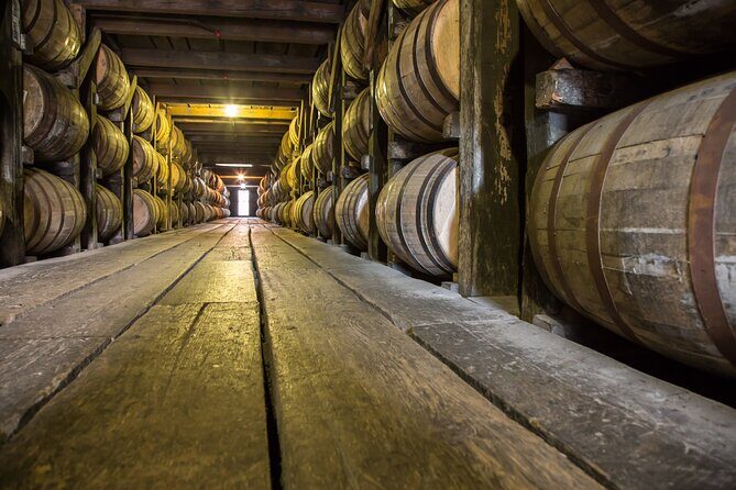 Rum Production Private Tour in Martinique - Why This Tour Offers Good Value