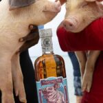 Rumbo Tour - What to Expect at Each Stop