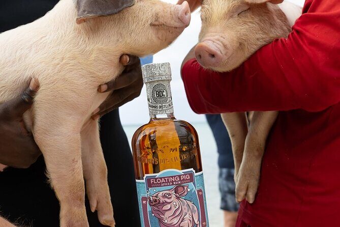 Rumbo Tour - What to Expect at Each Stop