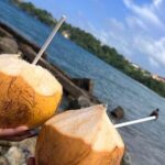 Runaway Bay Transportation Tour Experience - Final Thoughts