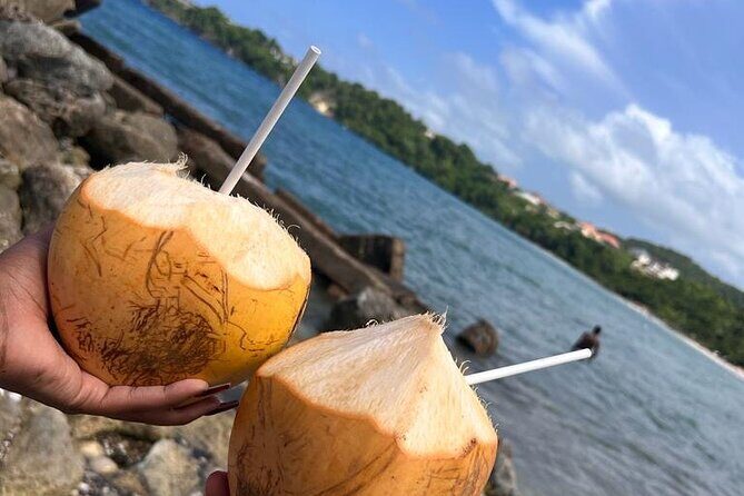 Runaway Bay Transportation Tour Experience - Final Thoughts