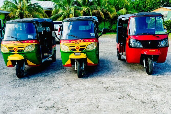 Ryde Tuk Tuk Eco and History Tour in St David Grenada - Transportation, Group Size, and Price