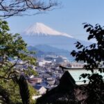 Ryugeji, Greentea Hall, Yumeterrace, and Minowa Inari Guided Tour - A Closer Look at the Itinerary