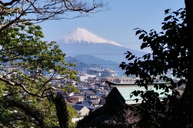 Ryugeji, Greentea Hall, Yumeterrace, and Minowa Inari Guided Tour - A Closer Look at the Itinerary