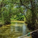 Sabana de la Mar: Los Haitises, Waterfalls & Mountain Tour - Authenticity & Real Traveler Perspectives