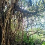 Sacred Meditation Tour in Itoman City - What Makes This Tour Special?