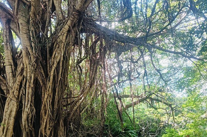 Sacred Meditation Tour in Itoman City - What Makes This Tour Special?