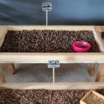 Safari discovery to Boca De Yuma  Nature, Discovery And History Of A Population - Who Should Consider This Tour?