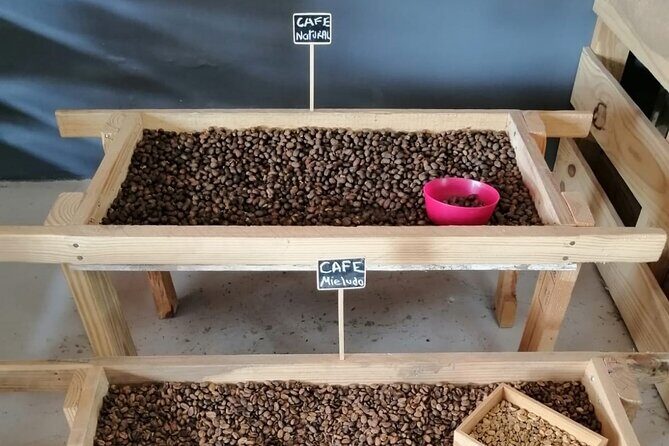 Safari discovery to Boca De Yuma  Nature, Discovery And History Of A Population - Who Should Consider This Tour?