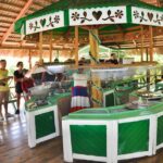 Safari Supreme Full Day Outdoor Adventure Punta Cana - Who Should Consider This Tour?