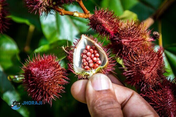 Safari tour with Jhoraji : mountain rivers and local market - What to Expect from the Transportation and Group Size