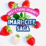 Saga Prefecture Strawberry Picking Experience with Ice Cream - Key Points