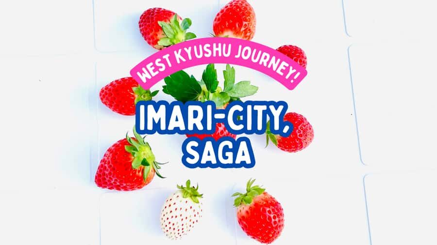 Saga Prefecture Strawberry Picking Experience with Ice Cream - Key Points