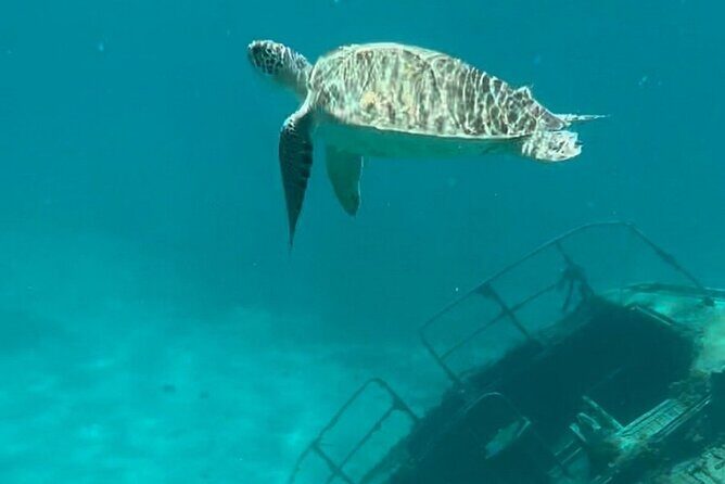 Sail and Snorkel Private Charter - Mid-Day Sail 1230pm to Sunset - Who Is This Tour Best For?