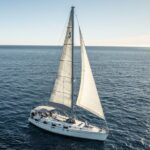 Sail in Style: Exclusive Whale watching Tour in Los Cabos - The Bottom Line