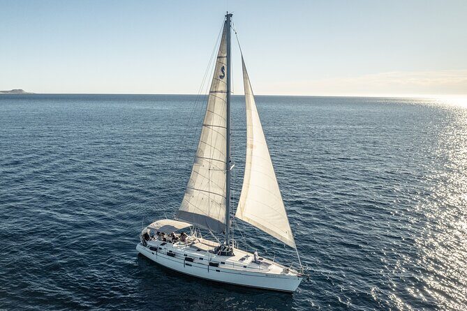 Sail in Style: Exclusive Whale watching Tour in Los Cabos - The Bottom Line
