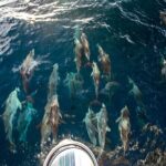 Sailing and Snorkeling to Norman Island and Caves - The Experience: What Travelers Say