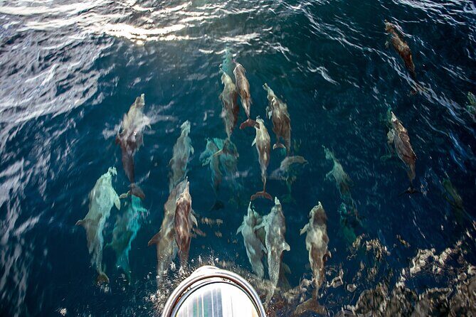 Sailing and Snorkeling to Norman Island and Caves - The Experience: What Travelers Say